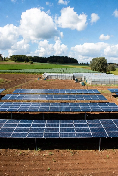 Agrivoltaics Blending Solar Power and Farming - HITEK ENERGY